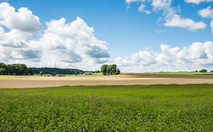 Pürovel Products - Swissotel Hotels & Resorts