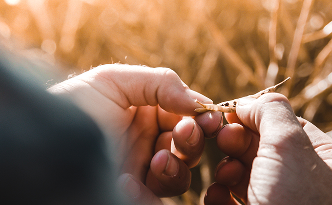 Process - Swissôtel Hotels And Resorts