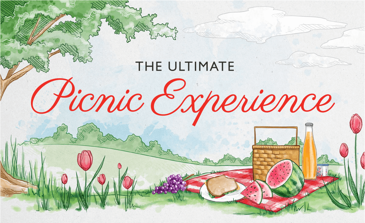 Easy Picnic Food Ideas & Hacks - Swissotel